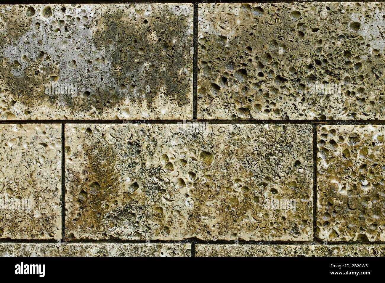 The texture of stone walls. Moss brick texture Stock Photo - Alamy