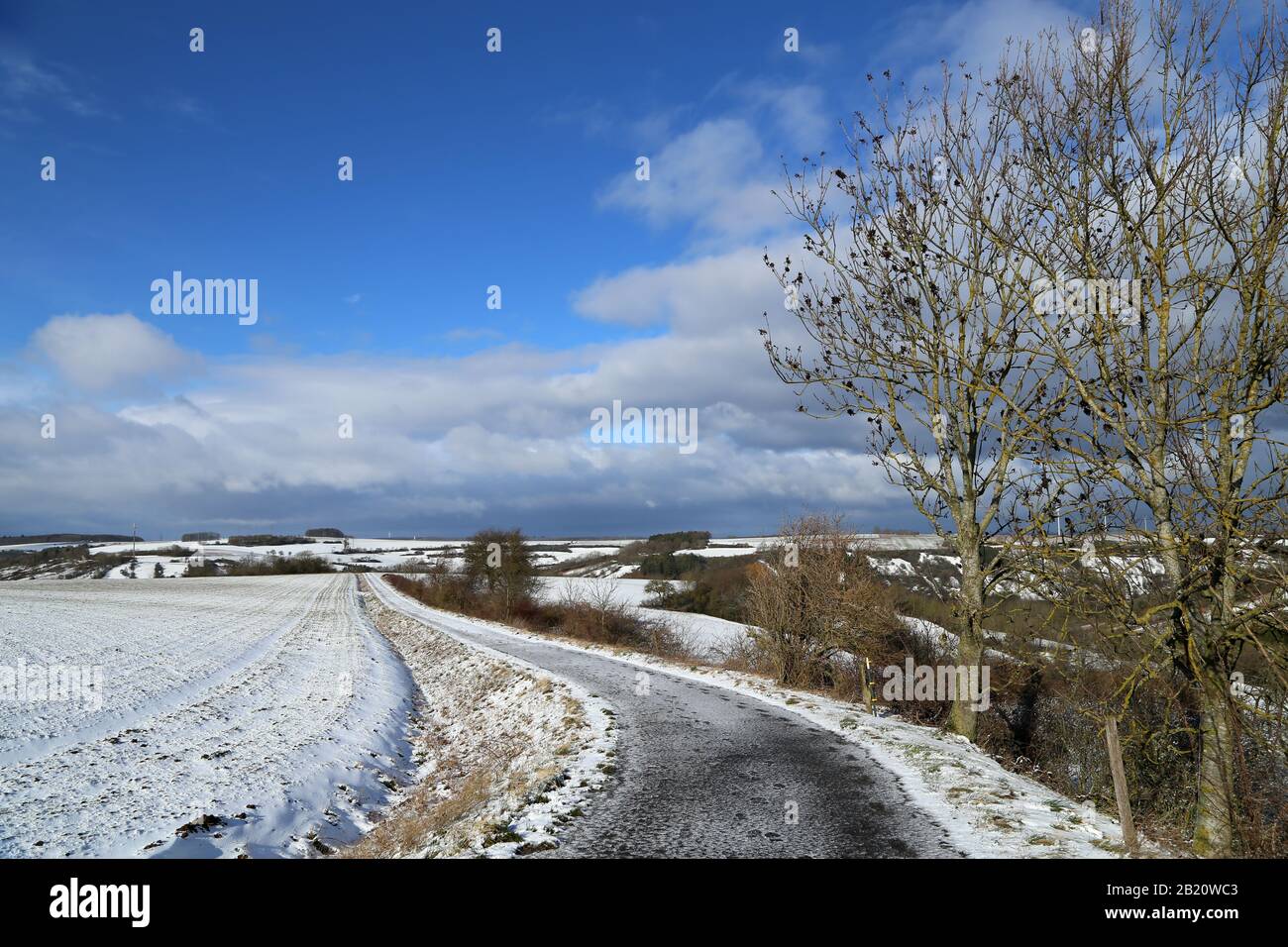 Winter landscape with road and trees on the side of the road Stock ...