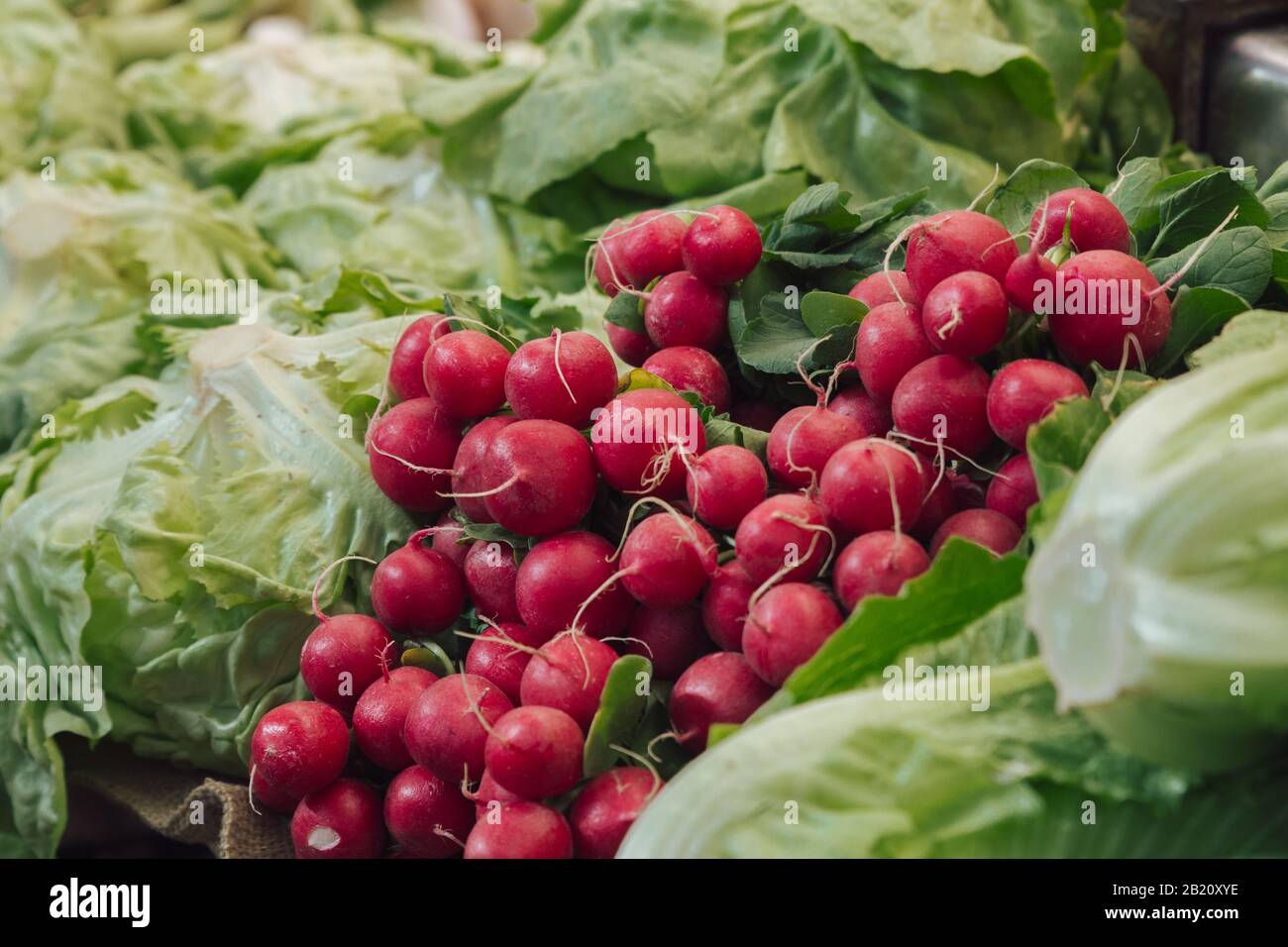 Stock photo of a bunch of radishes in a market stall Stock Photo - Alamy
