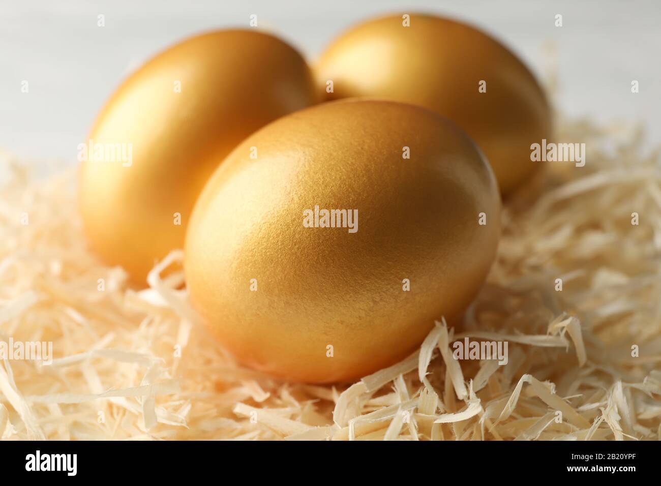 Golden eggs in nest on white background, close up Stock Photo - Alamy