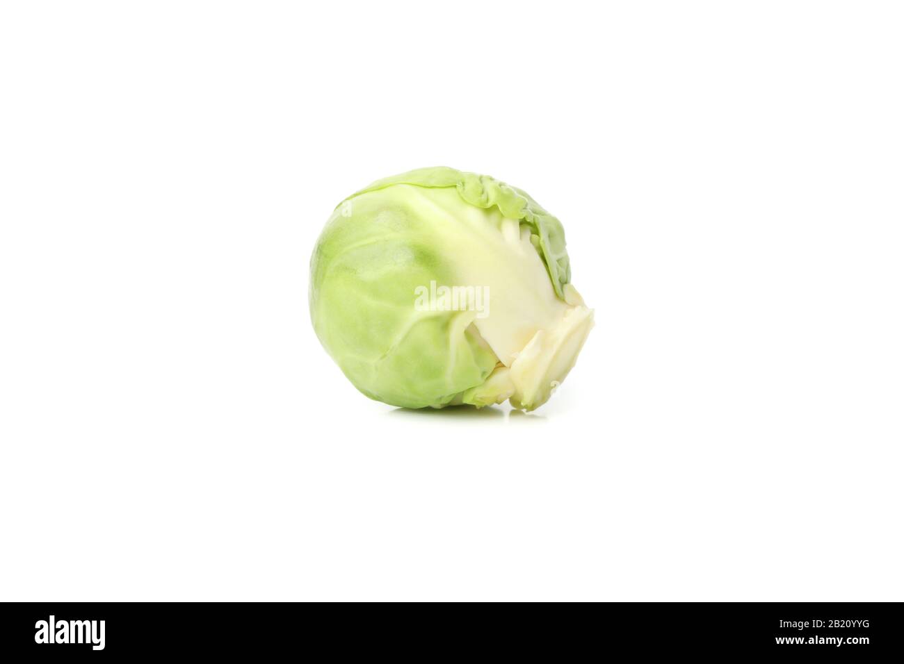 Single brussels sprout isolated on white background Stock Photo - Alamy