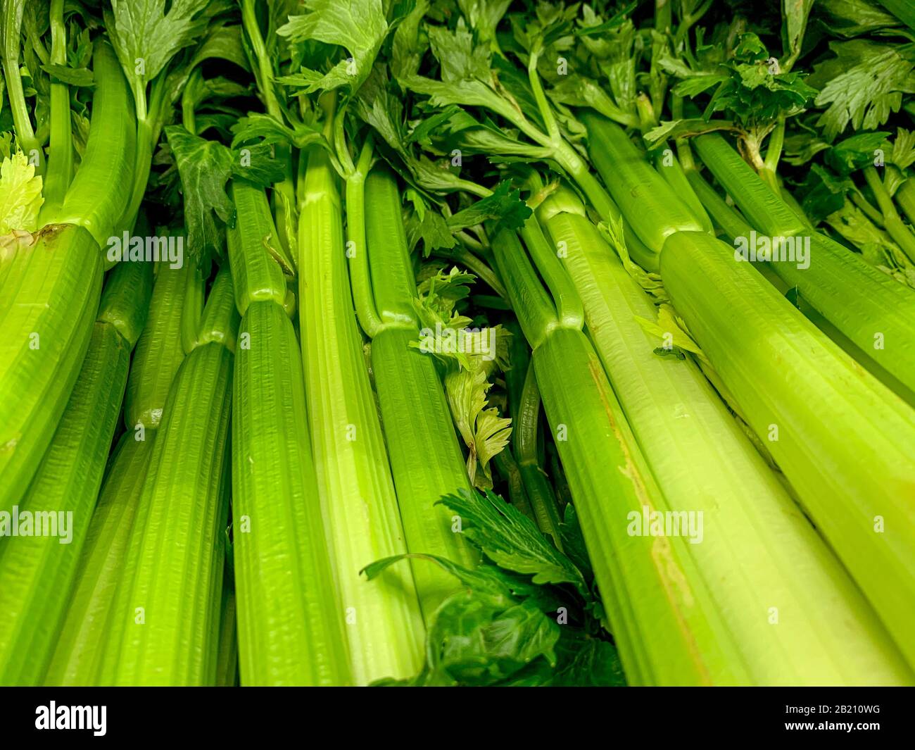 Celery hi-res stock photography and images - Alamy