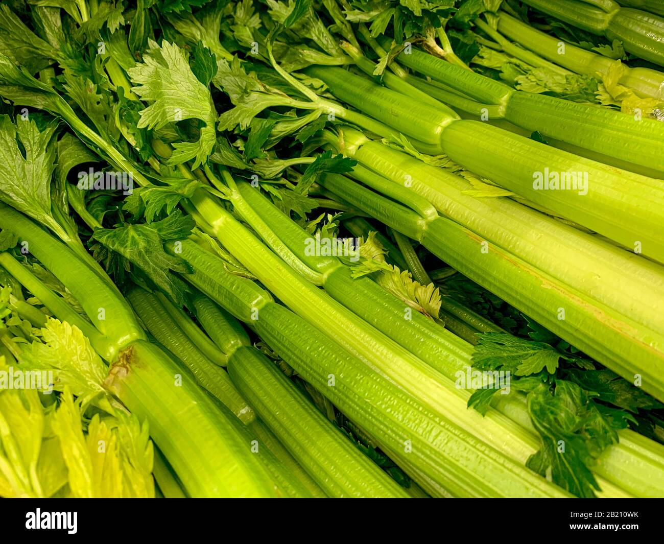 Fresh organic celery in Supermarket Stock Photo - Alamy