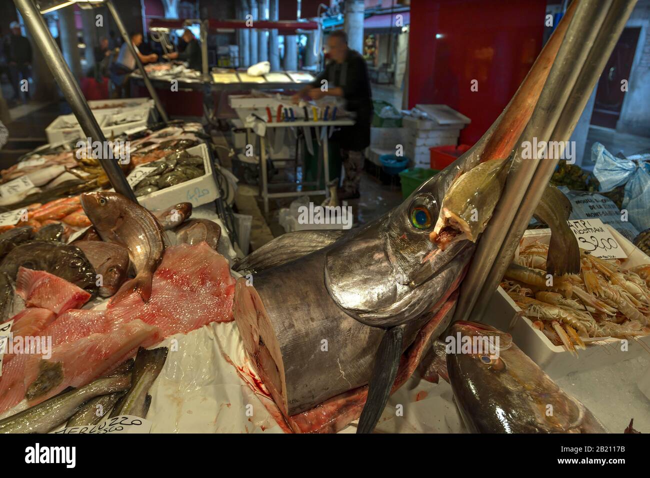 Xiphias gladius swordfish hi-res stock photography and images - Alamy