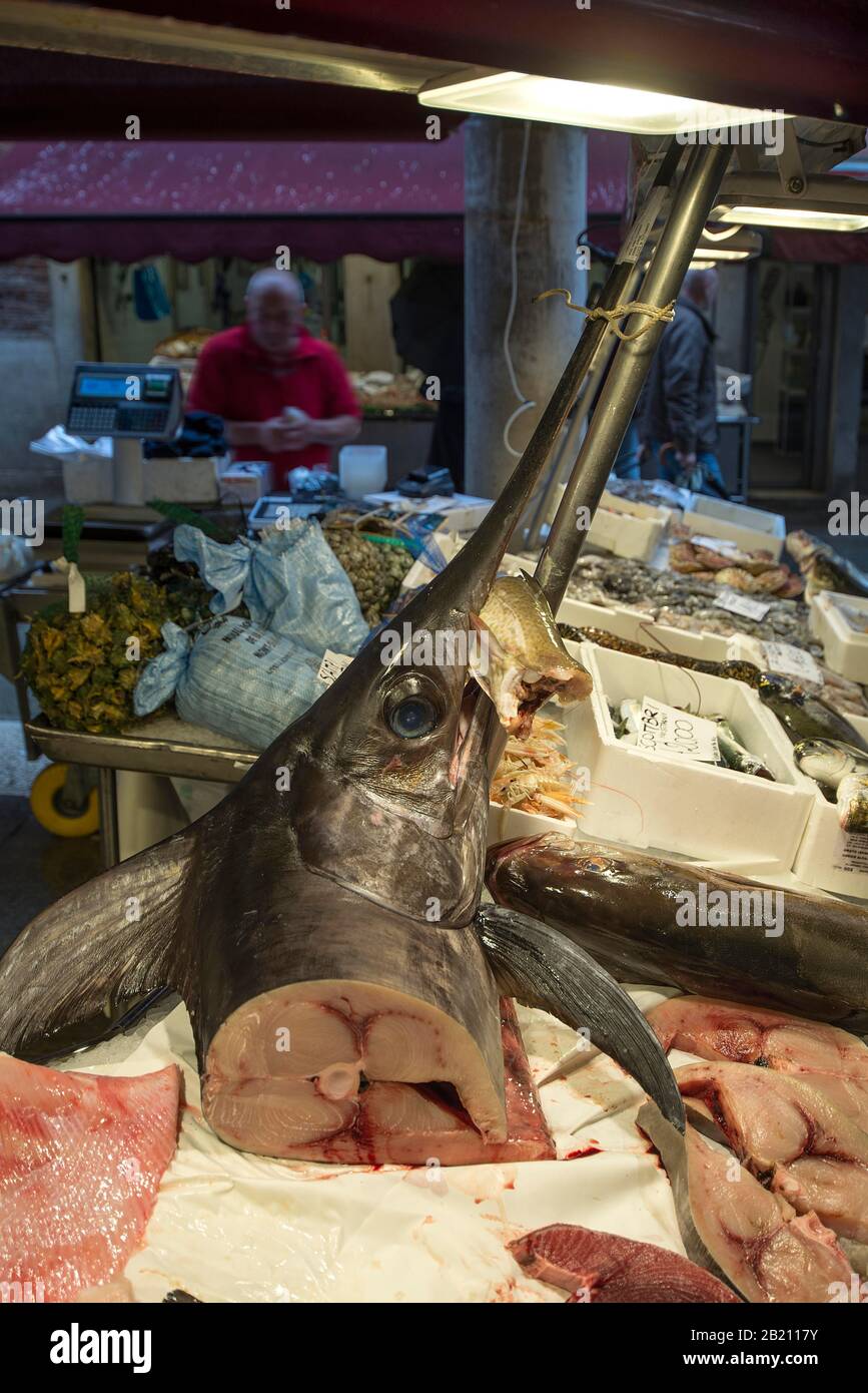 Xiphias gladius swordfish hi-res stock photography and images - Alamy