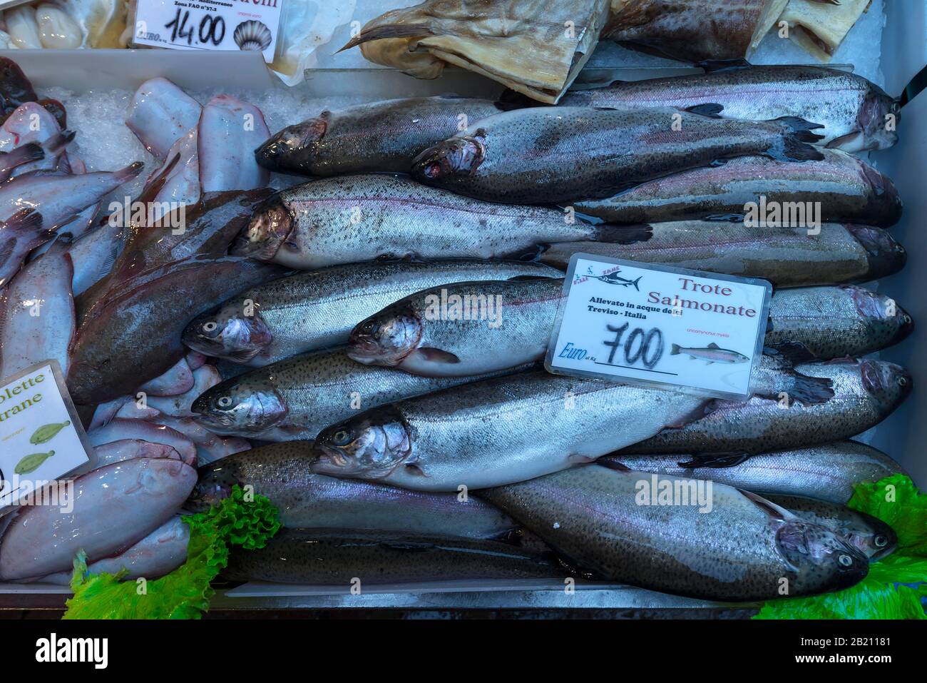 Trout italy hi-res stock photography and images - Alamy