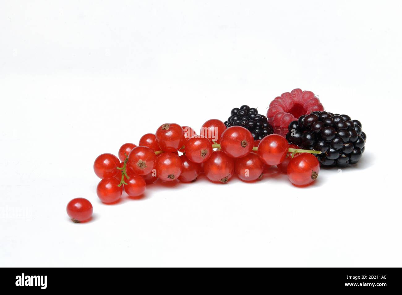 Red currants blackberries raspberries Cut Out Stock Images & Pictures ...