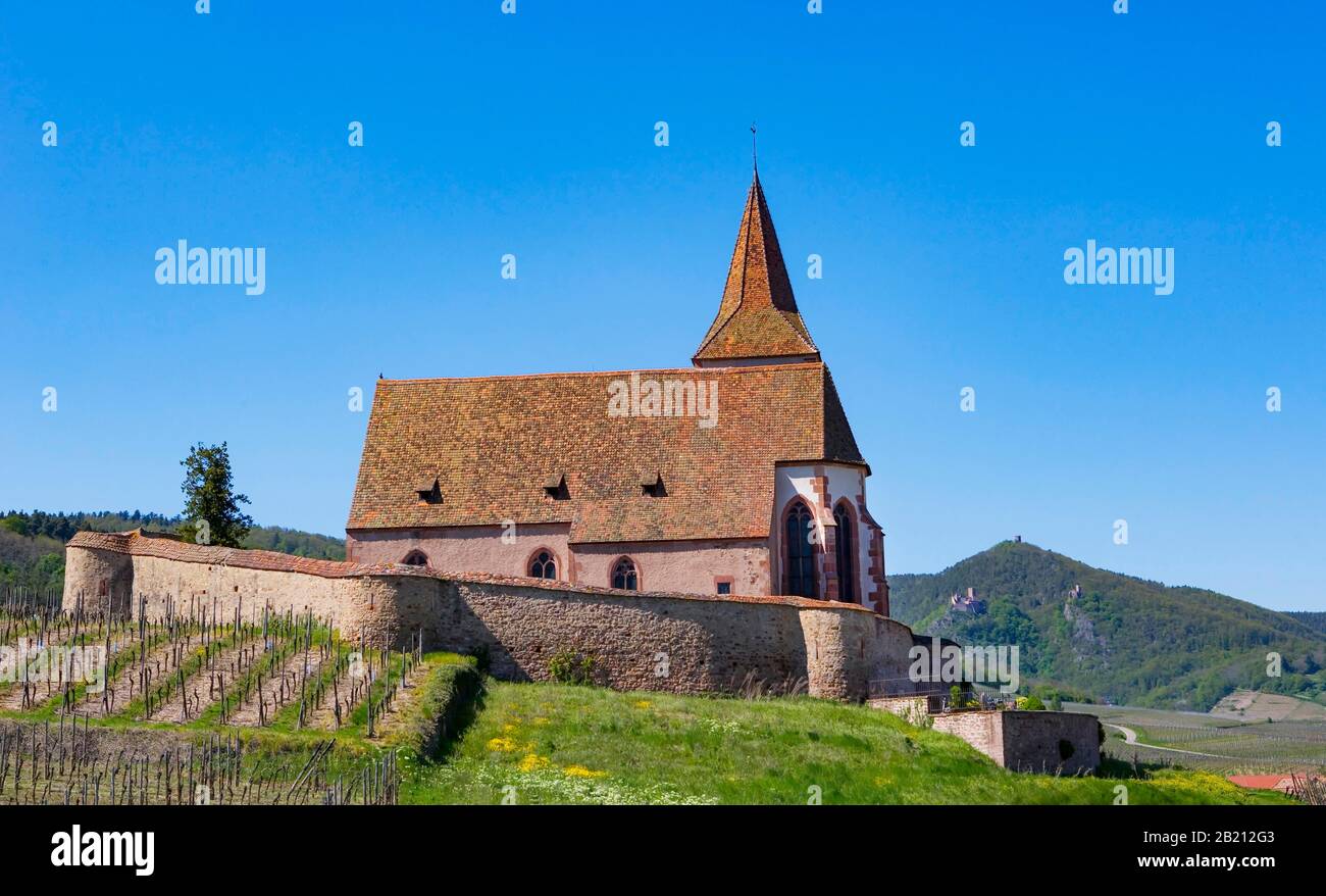 Church saint james in hi-res stock photography and images - Alamy