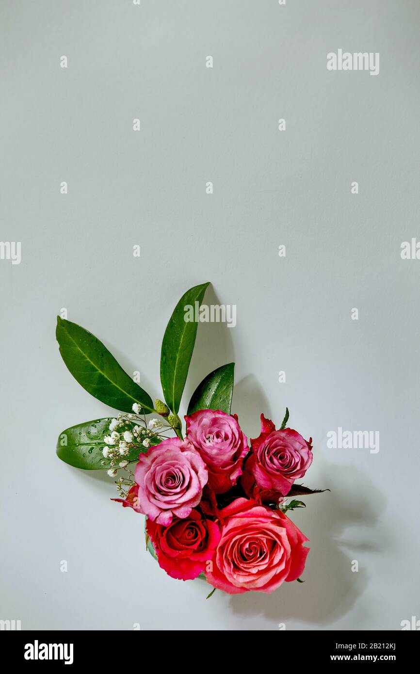 Creative layout roses flowers Stock Photo - Alamy