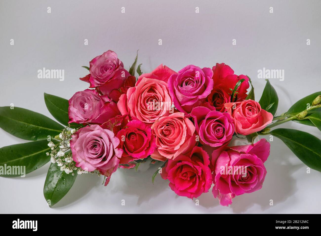 Creative layout roses flowers Stock Photo - Alamy