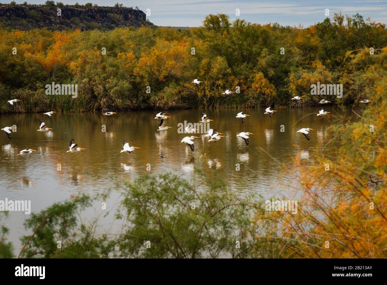 Gila river hi-res stock photography and images - Alamy