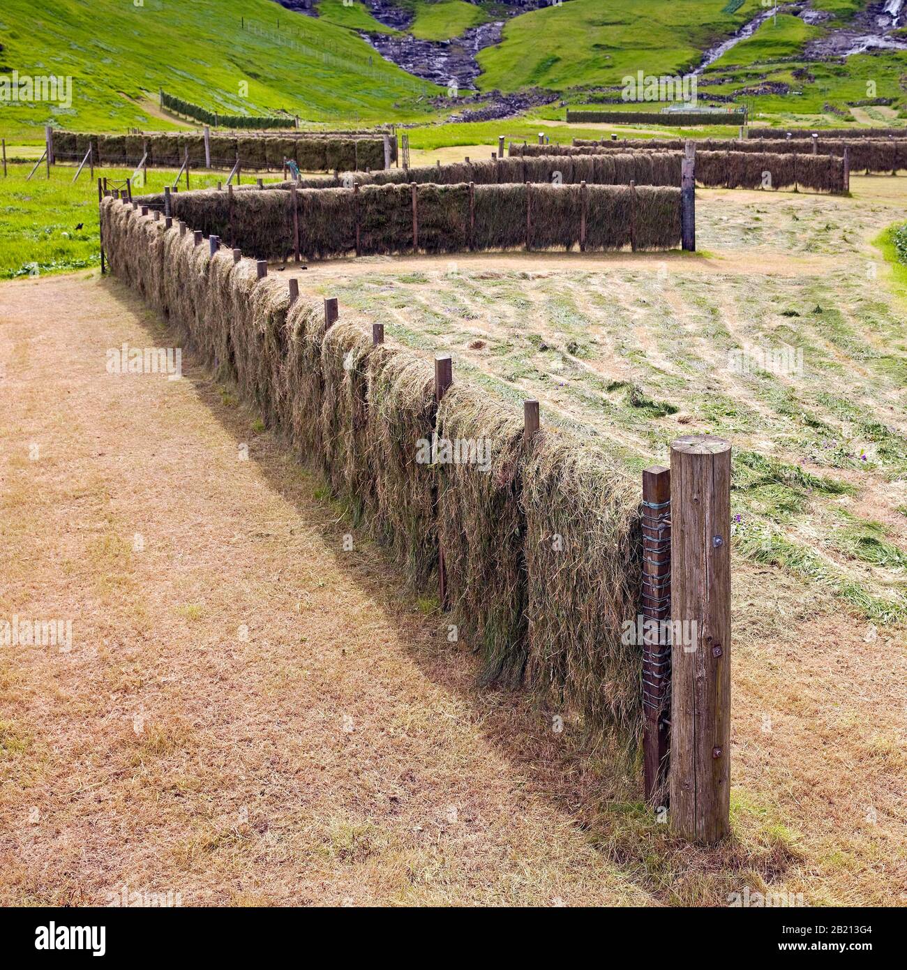 Traditional drying rack for drying grass and making hay, Tjornuvik ...