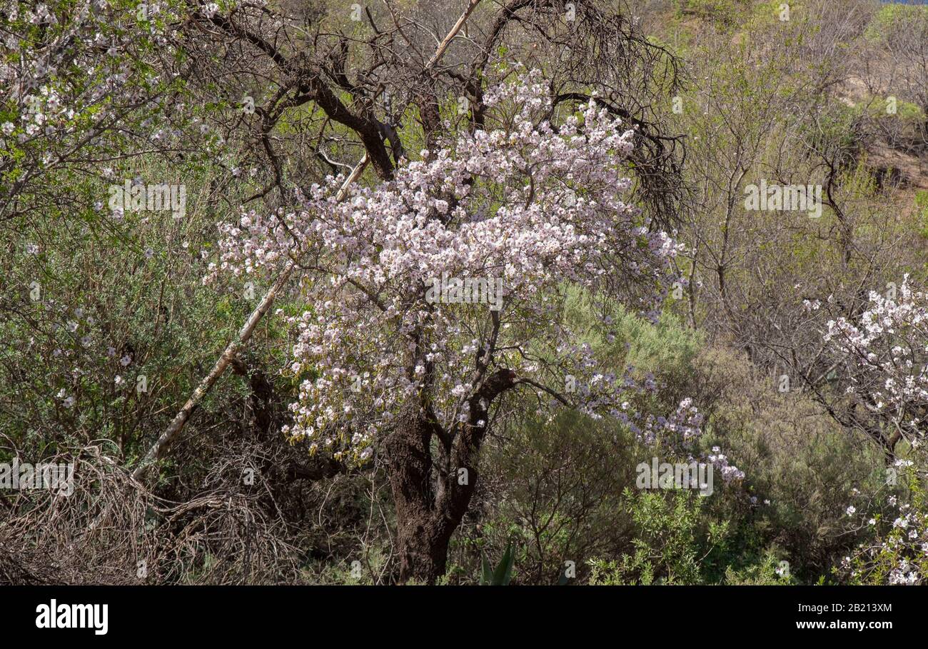 Gentle end of winter hi-res stock photography and images - Alamy