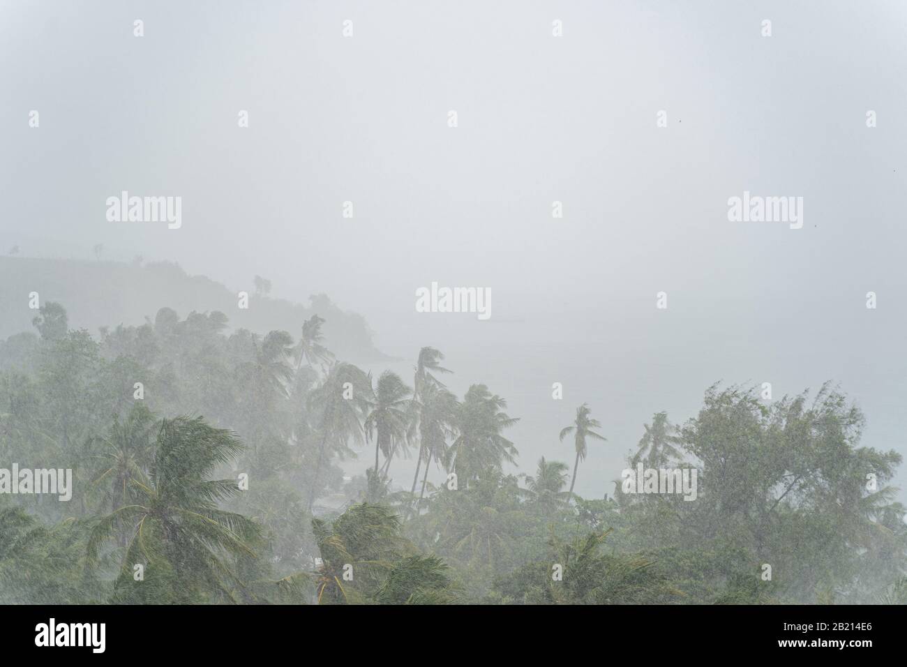 Unpredictable severe storm raging over a rainforest Stock Photo - Alamy