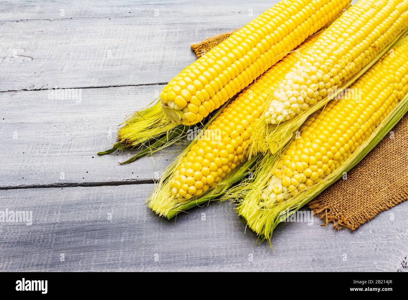 Fresh sweet corn on cobs. Natural organic raw vegetables, healthy food ...