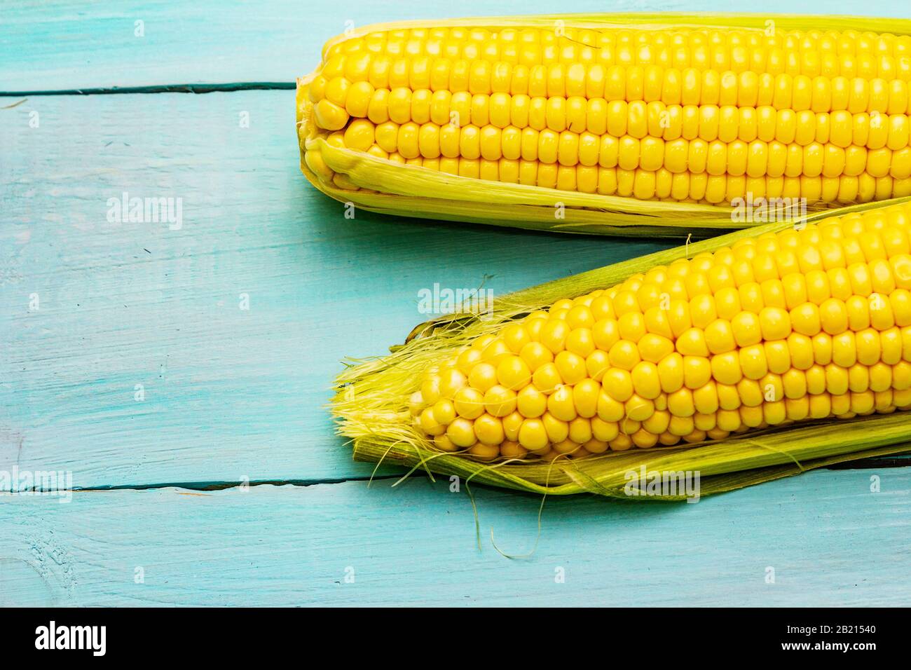 Fresh sweet corn on cobs. Natural organic raw vegetables, healthy food ...