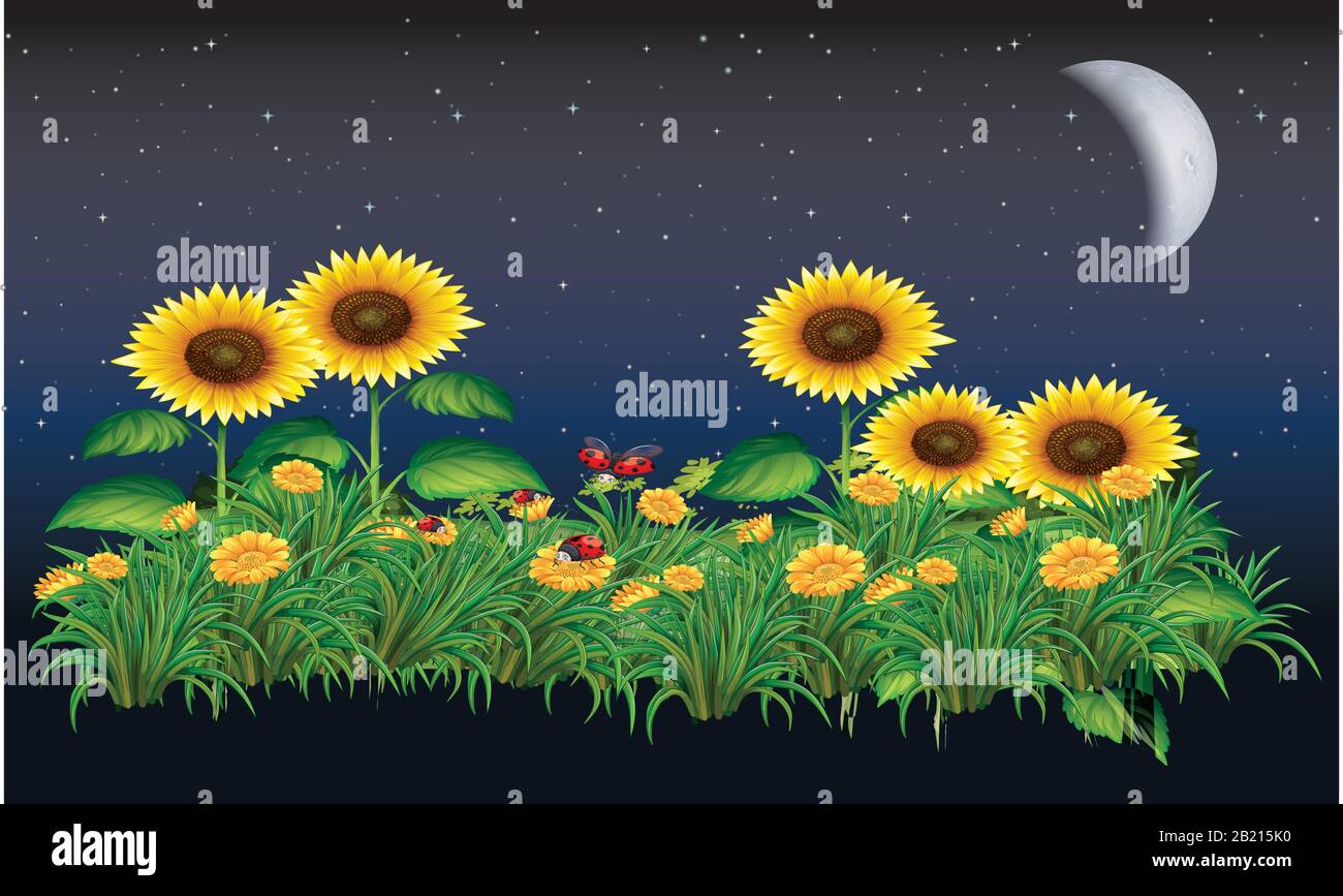 Beautiful view moon night Stock Vector Images - Alamy