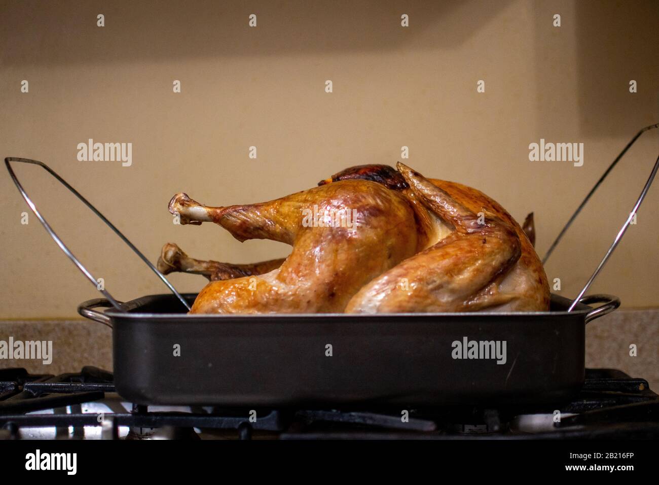 A beautiful roasted turkey is fresh out of the oven, ready to be carved ...