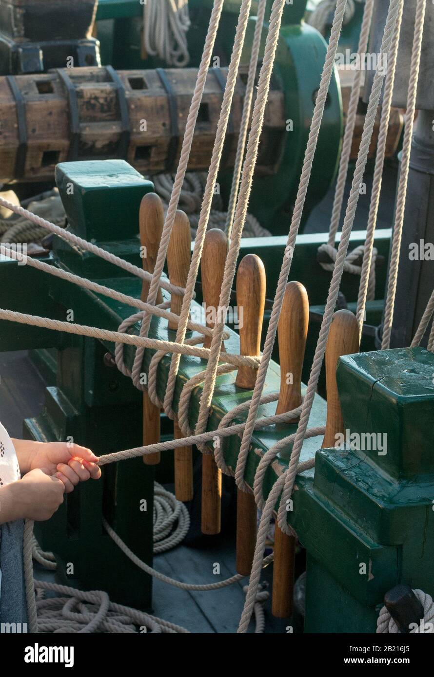 A sailors hands hold tight to ropes from tall ship sails, using sailor ...
