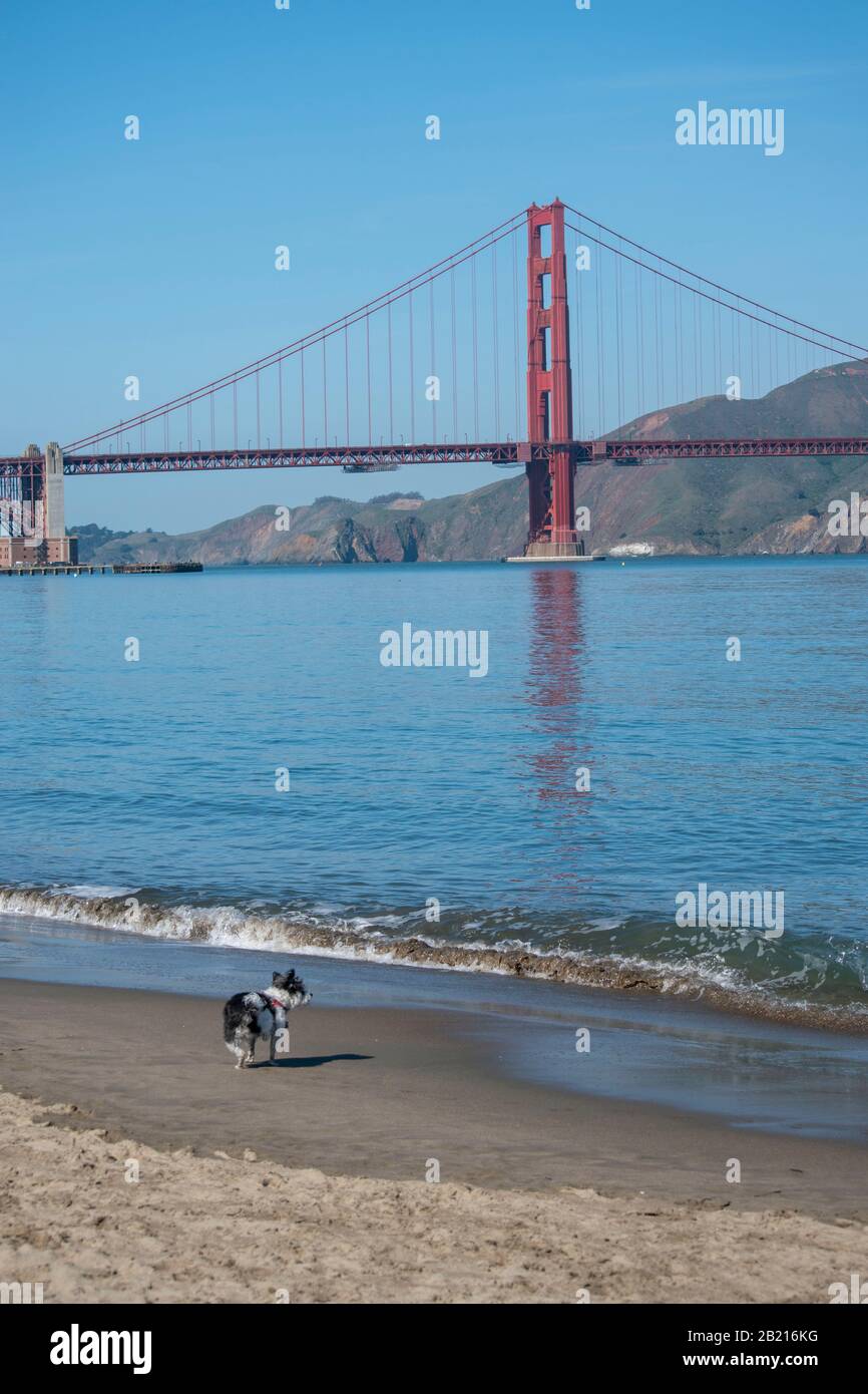 The Golden Gate Bridge is a prominent feature of the views at Crissy ...