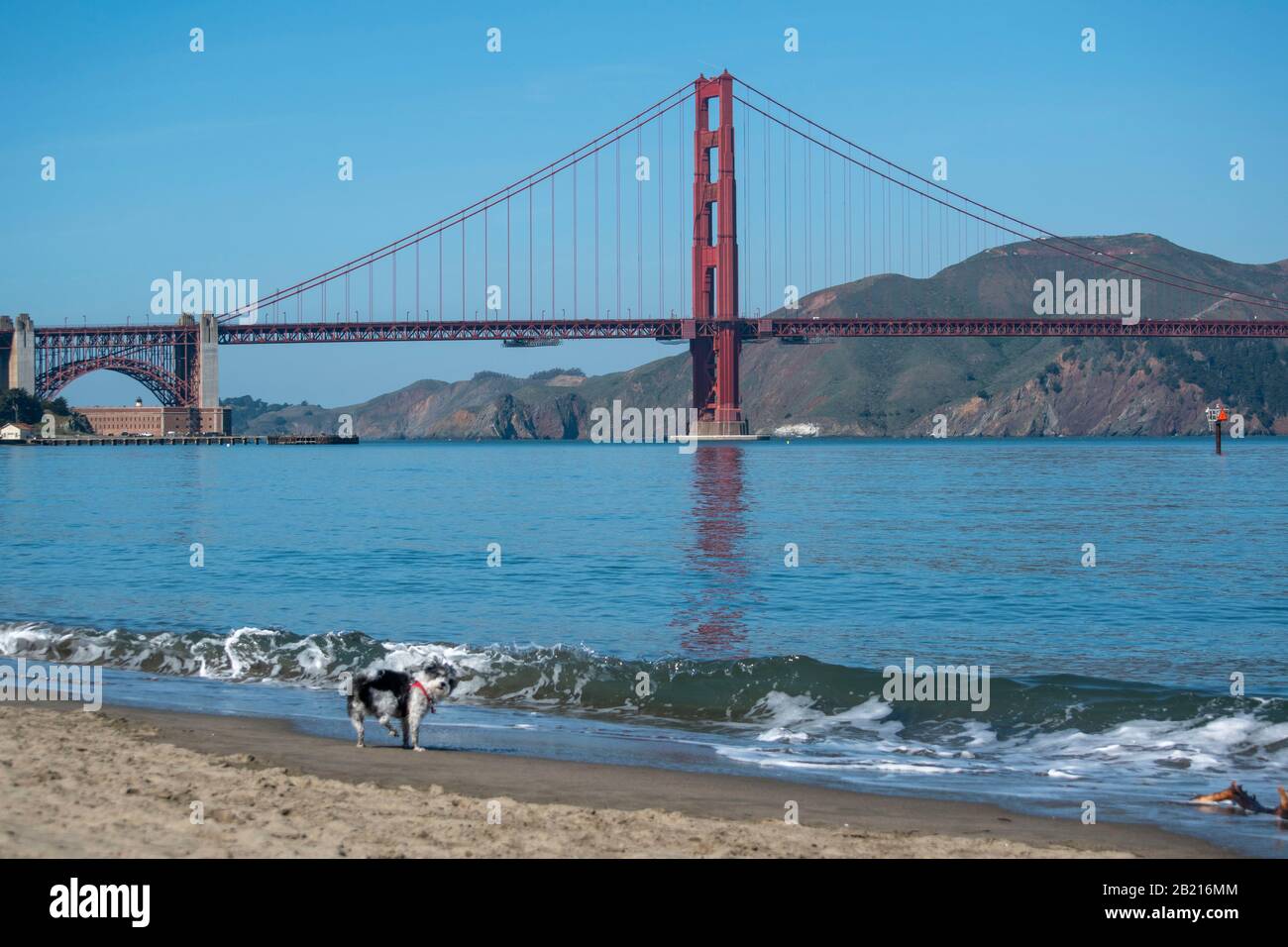 The Golden Gate Bridge is a prominent feature of the views at Crissy ...