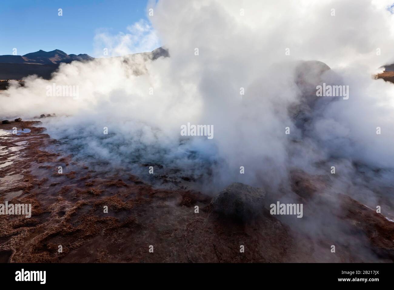 A geyser steams at sunrise, El Tatio Geyser Field, Andes Mountains ...