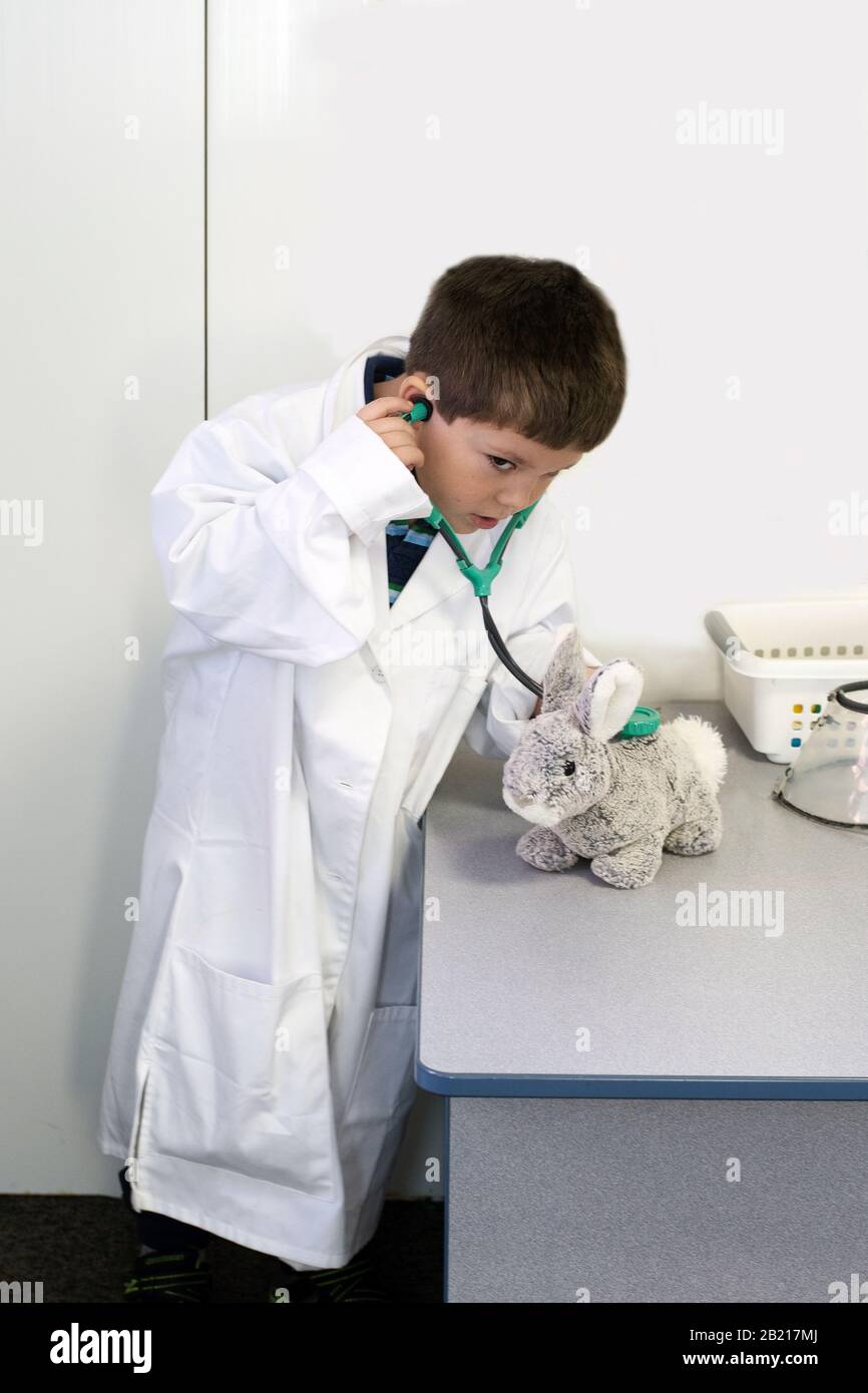 Rabbit costume office hi-res stock photography and images - Alamy