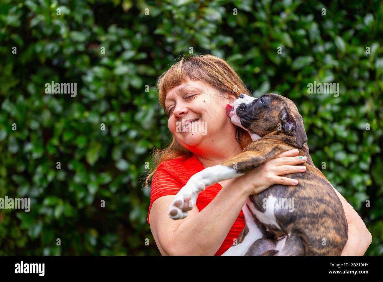 White Elder Caucasian Woman with a small cute Boxer Puppy outside in ...