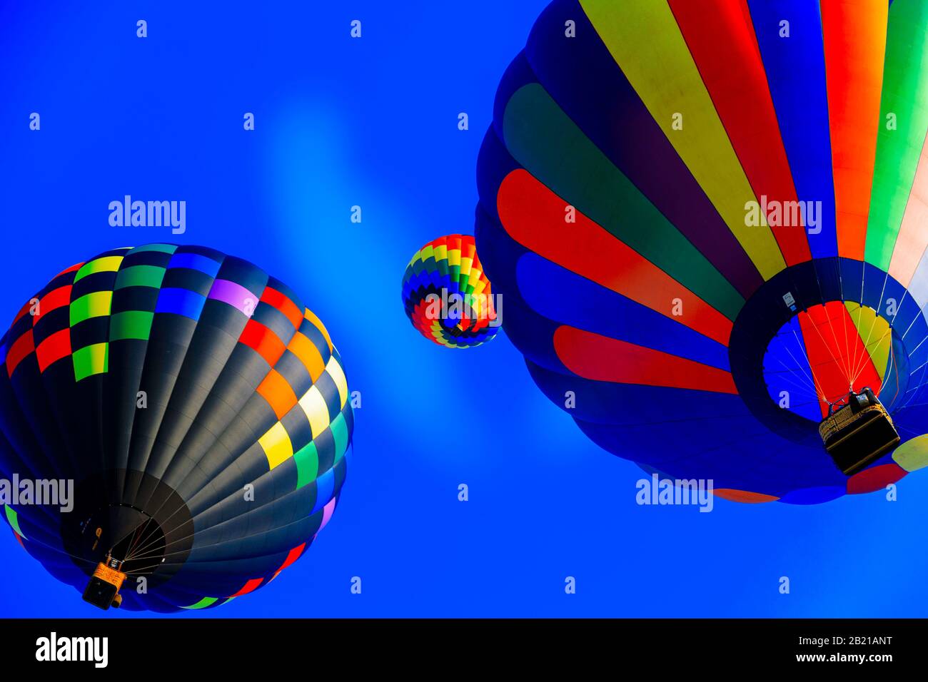 Beautiful colorful air balloons rising up Stock Photo - Alamy