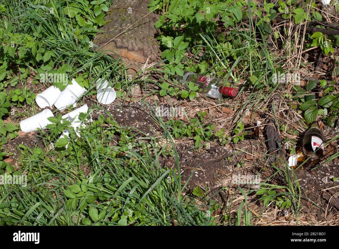 trash and mess in meadow and forest. glass and paper thrown away in ...
