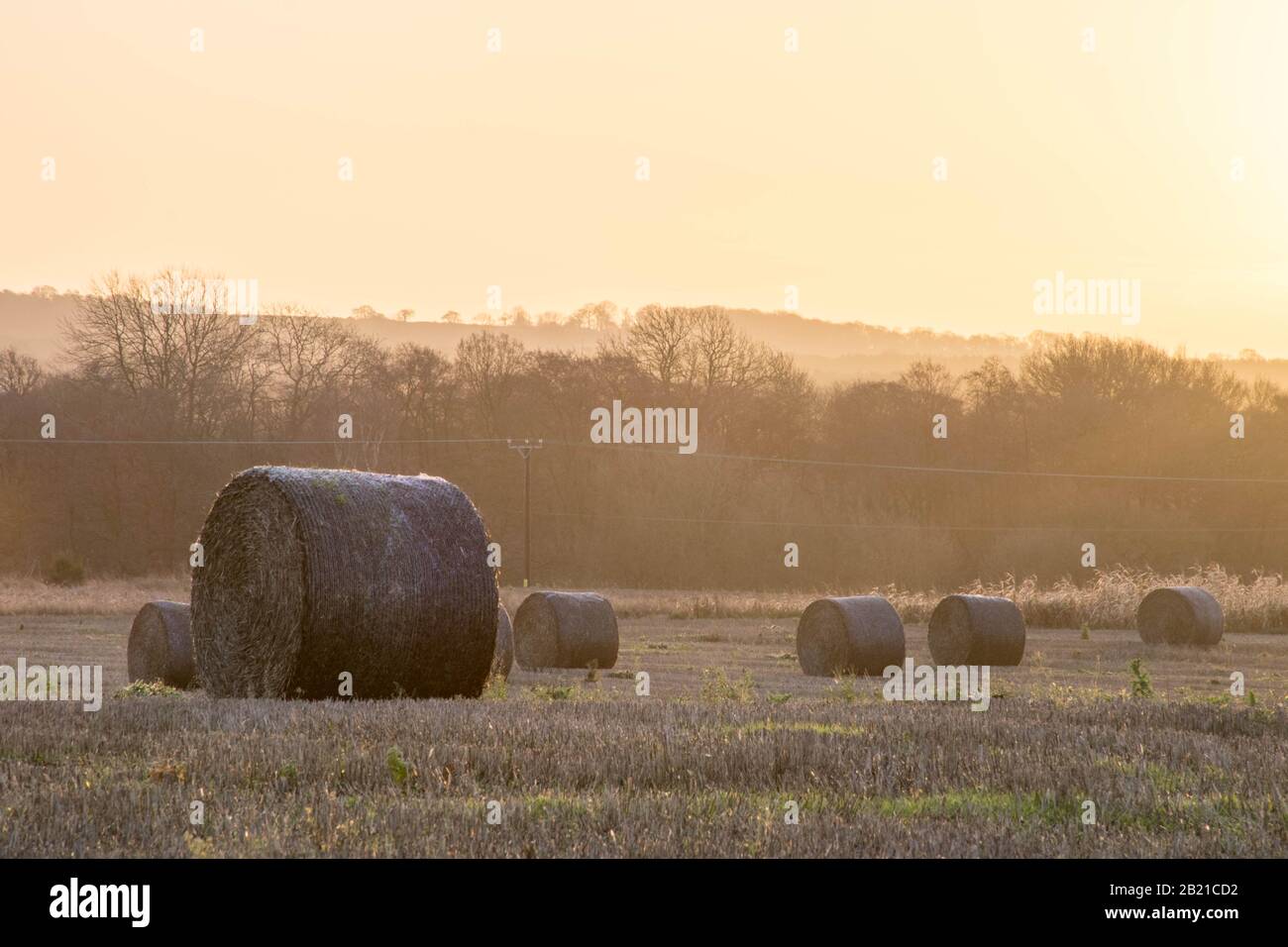 Many haymow hi-res stock photography and images - Alamy