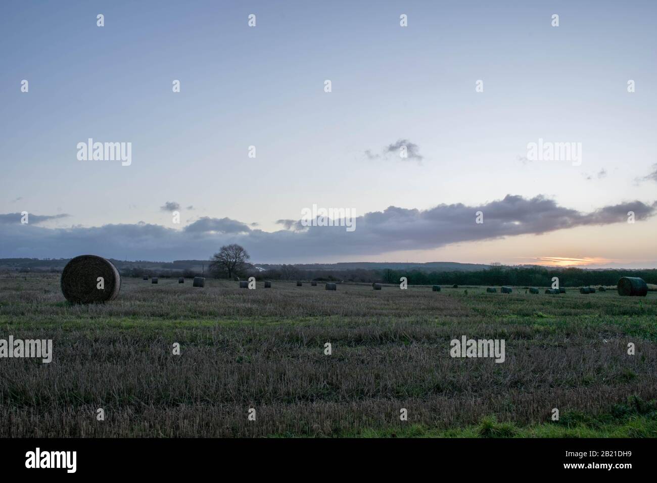 Haymows hi-res stock photography and images - Alamy