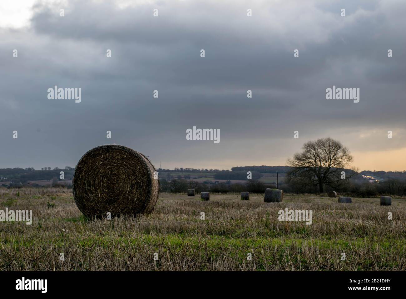 Single haymow in the morning Stock Photo - Alamy