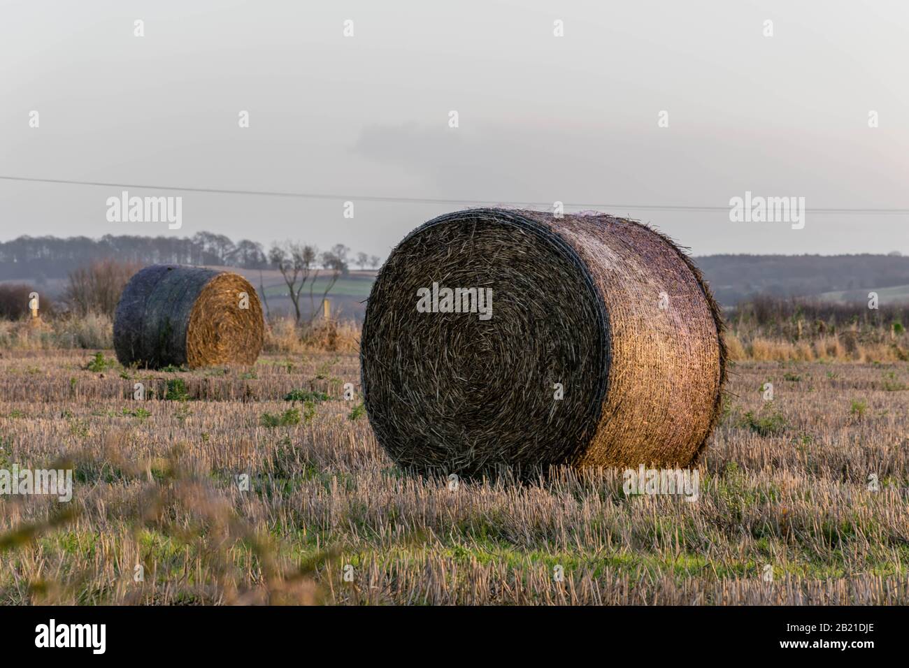 Two haymow on the field during morning Stock Photo - Alamy