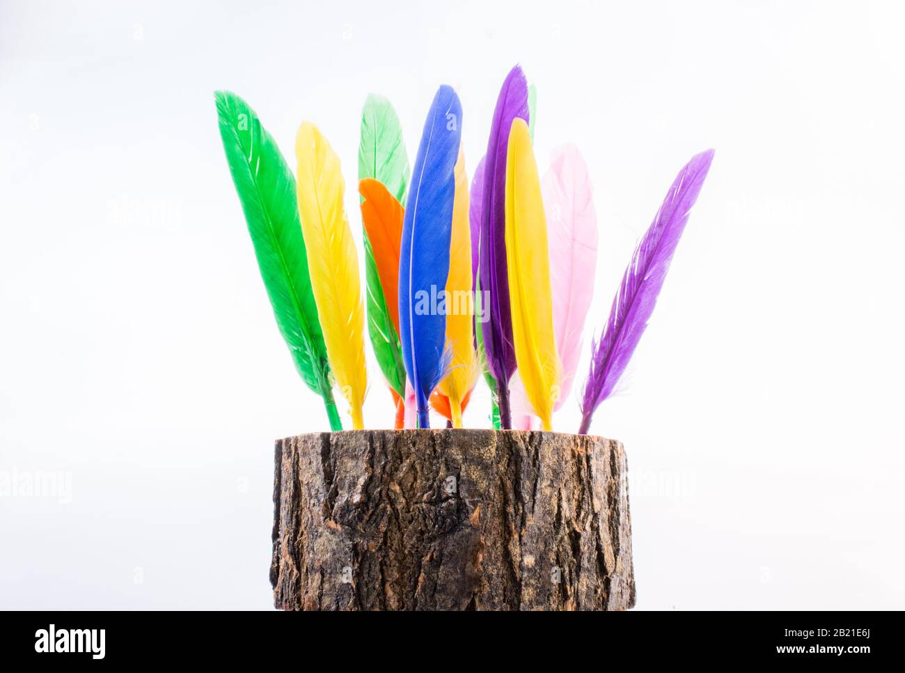 Light colored tail feathers hi-res stock photography and images - Alamy