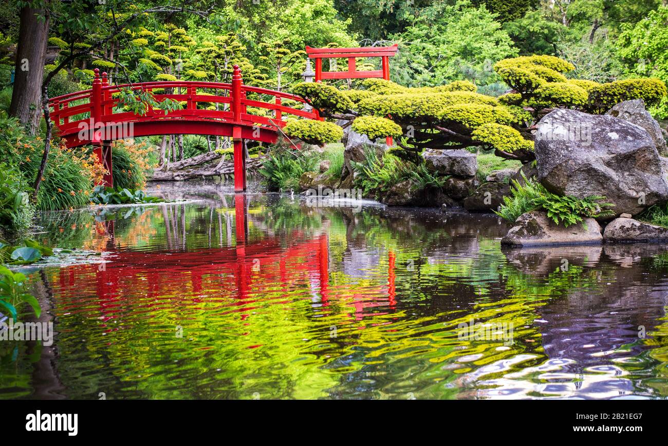 Water Garden Bridges