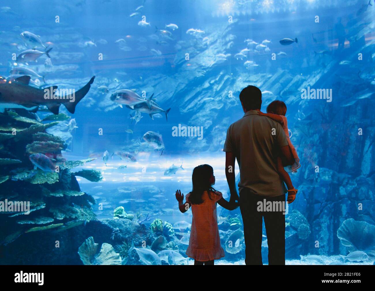 Back view of adult man with baby and little girl watching fish in tank ...