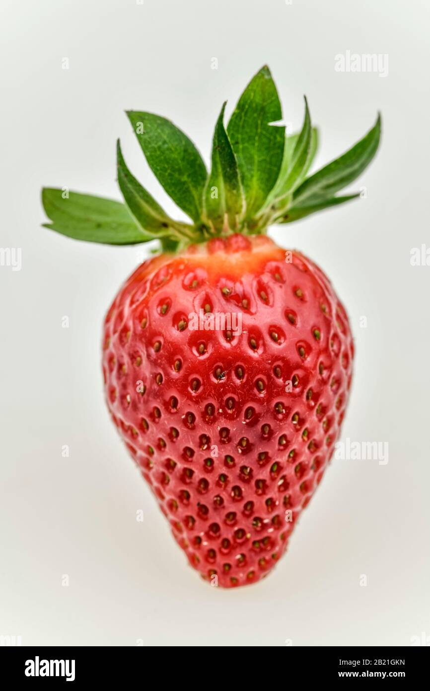 Erdbeere hi-res stock photography and images - Alamy