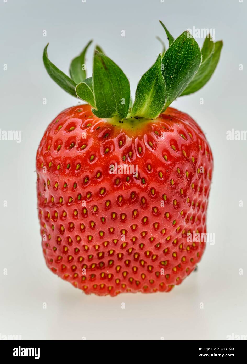 Erdbeere hi-res stock photography and images - Alamy