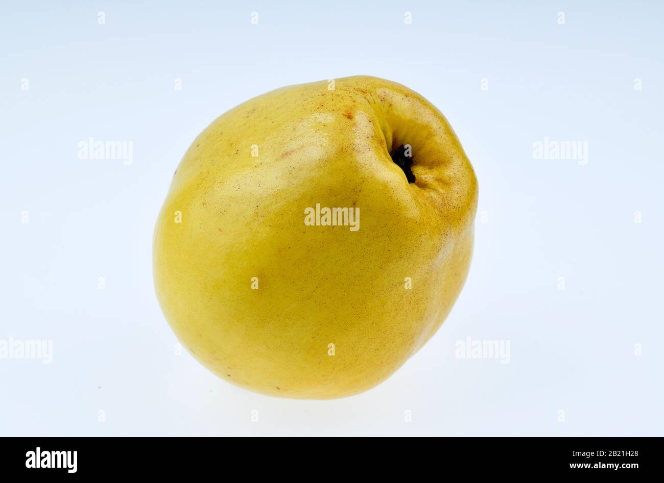 Quitte hi-res stock photography and images - Alamy