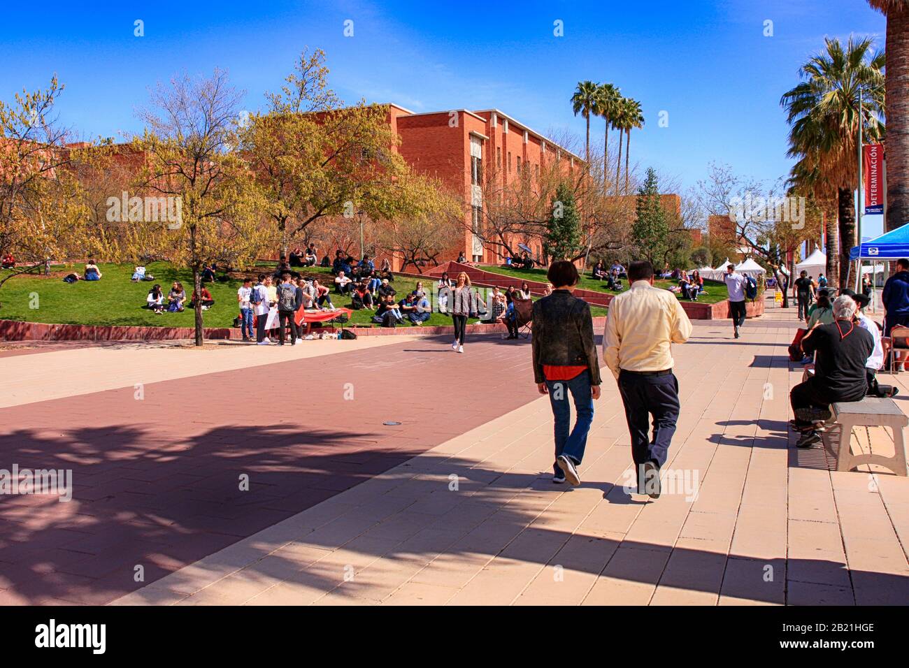 University of arizona tucson campus hi-res stock photography and images ...