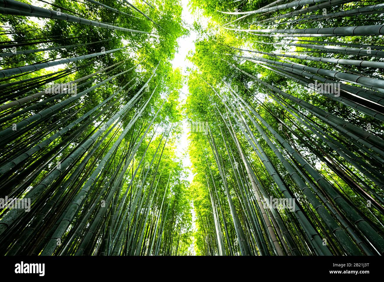 High up kyoto hi-res stock photography and images - Alamy