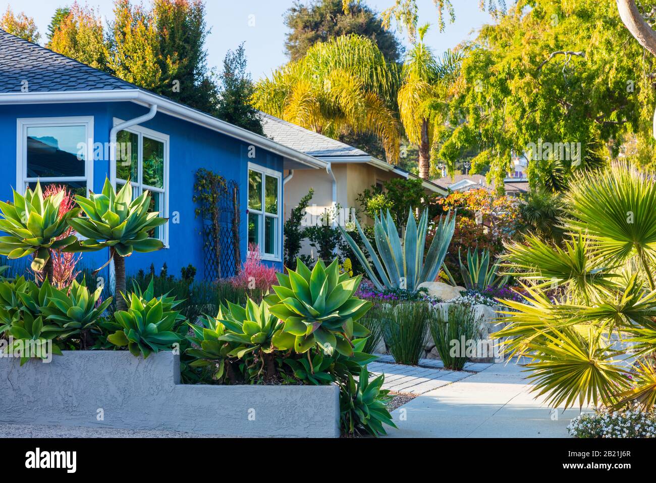 California home landscaping example with varied succulents and drought ...