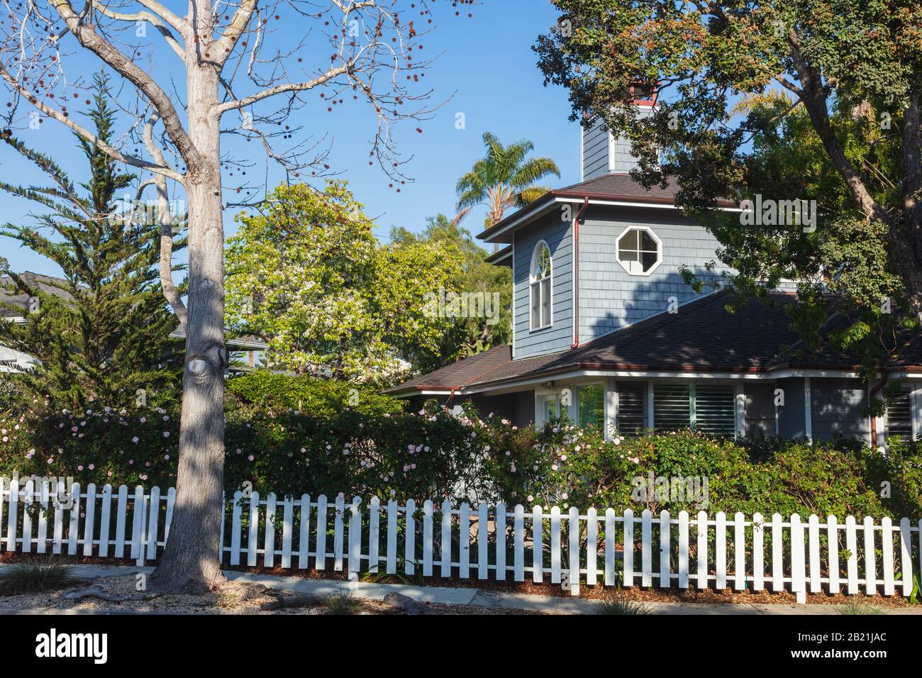 California home landscaping example with wood fence, varied succulents ...