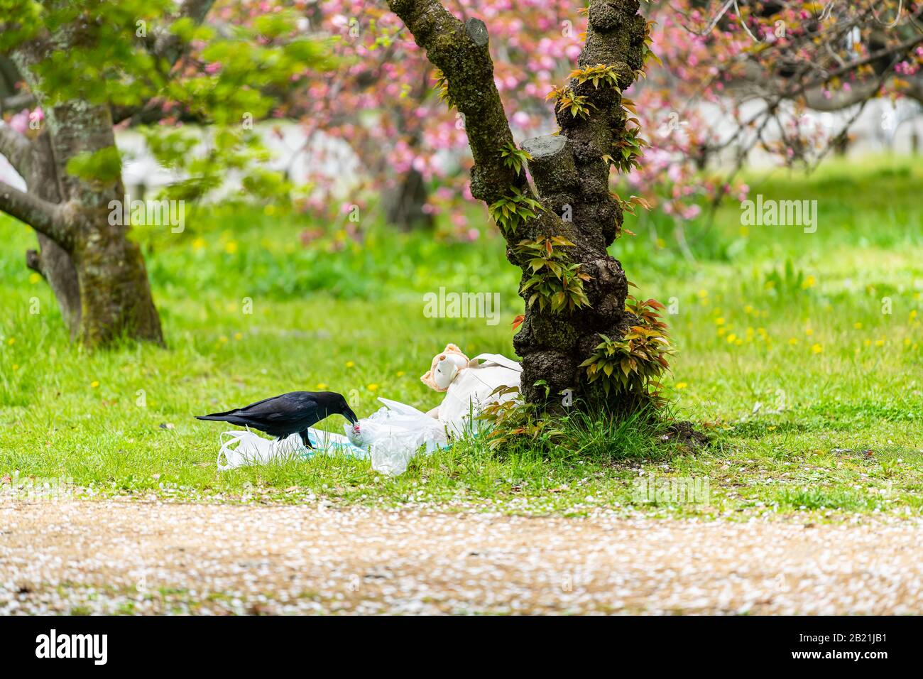 Kyoto, Japan garden park near Imperial Palace with trash food and one ...
