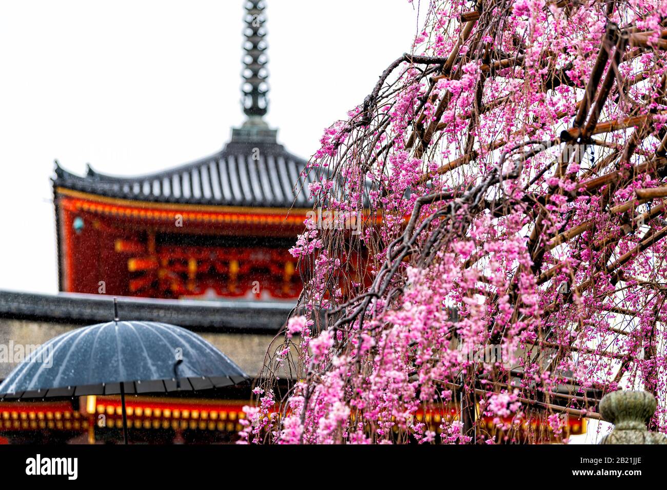 Rainy season kyoto hi-res stock photography and images - Alamy