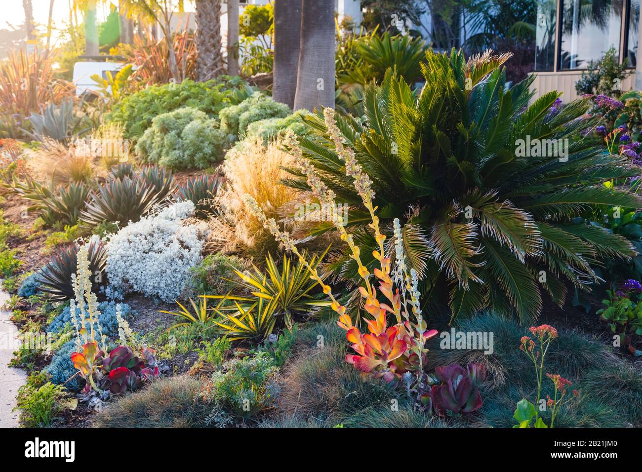 Beautiful California home landscaping example with varied and drought ...