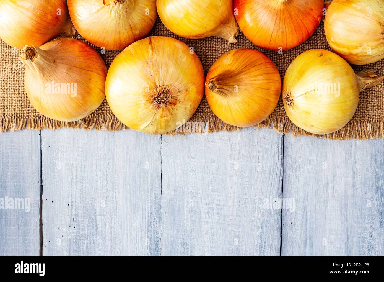 Fresh organic yellow onions on sackcloth. Autumn harvest, an ingredient ...