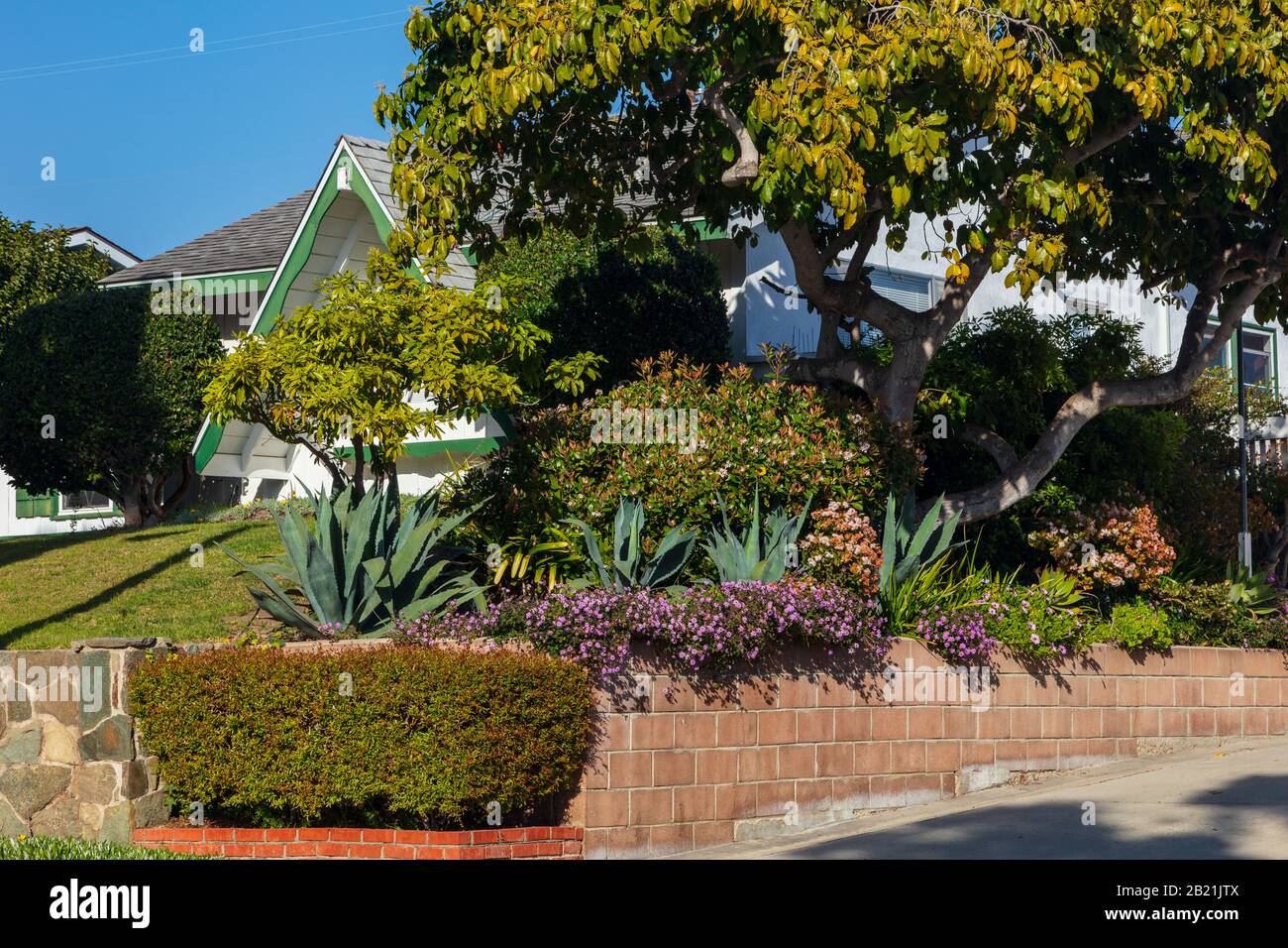 Beautiful California home landscaping example with varied and drought ...
