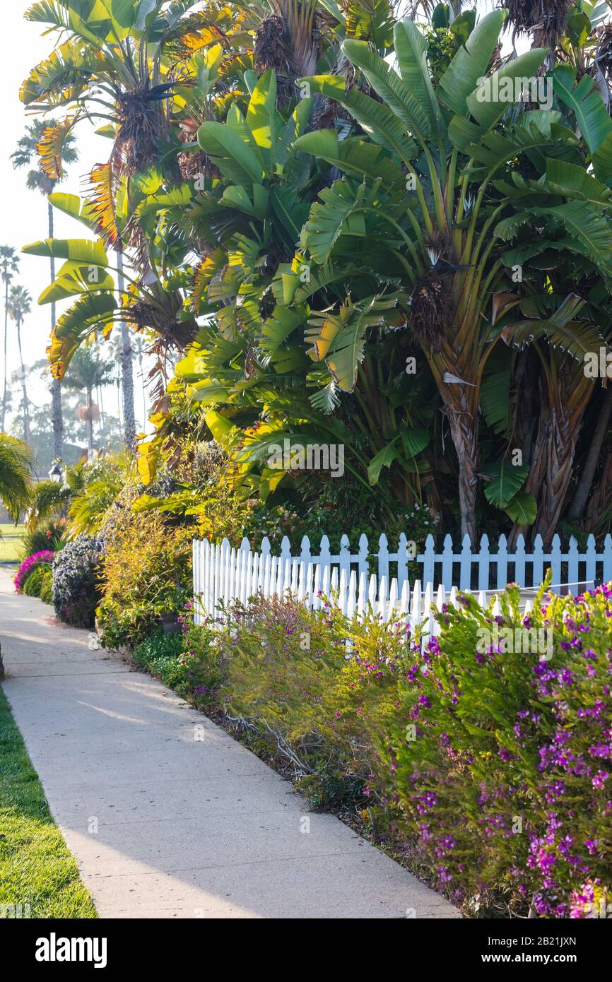 California home landscaping example with wood fence and varied planting ...